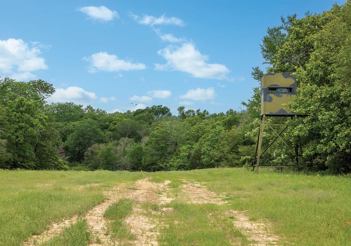 South Walnut Ranch | ~1600 AC Ranch in Robertson County, Texas | Oldham ...