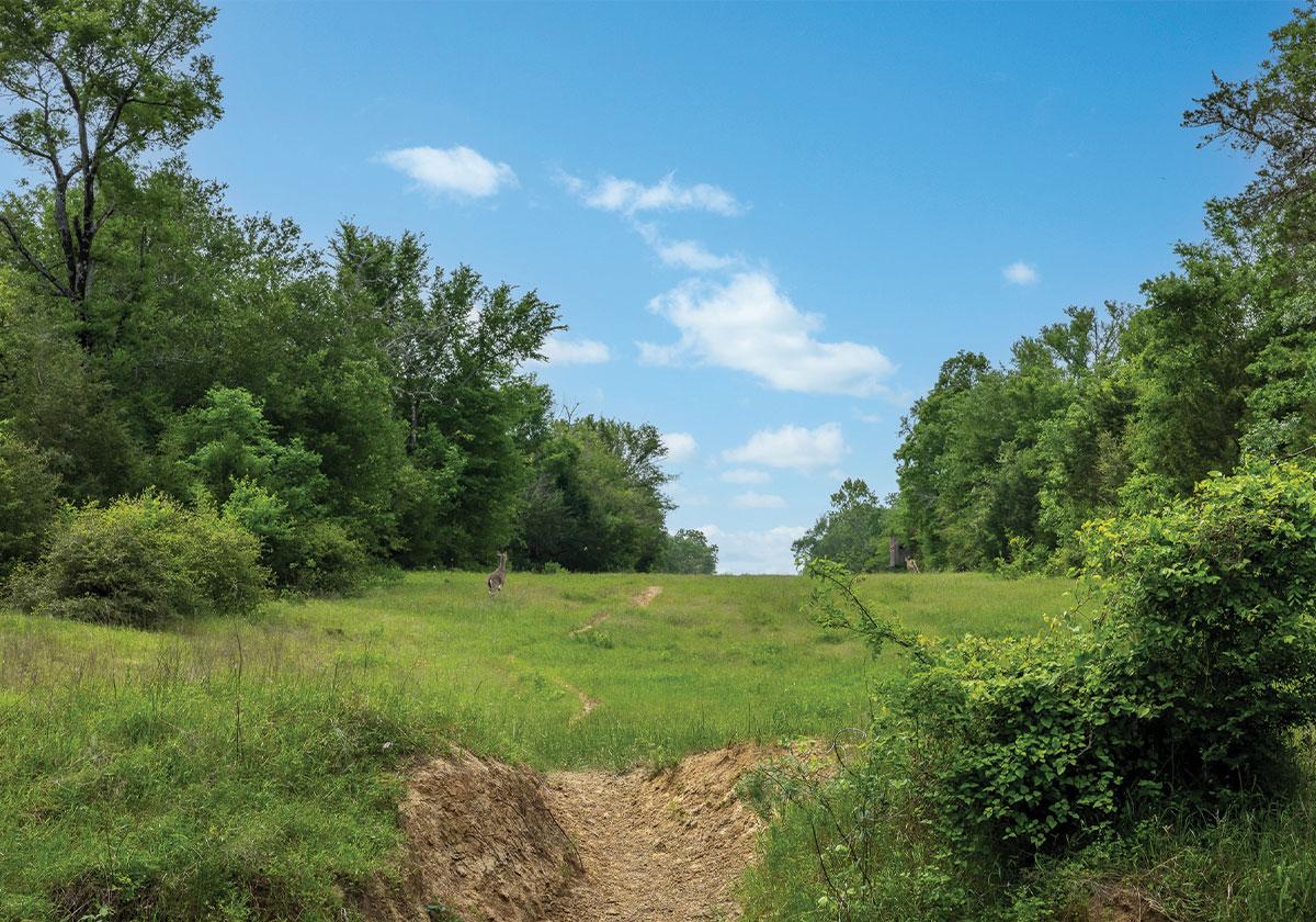 South Walnut Ranch | ~1600 AC Ranch in Robertson County, Texas | Oldham ...