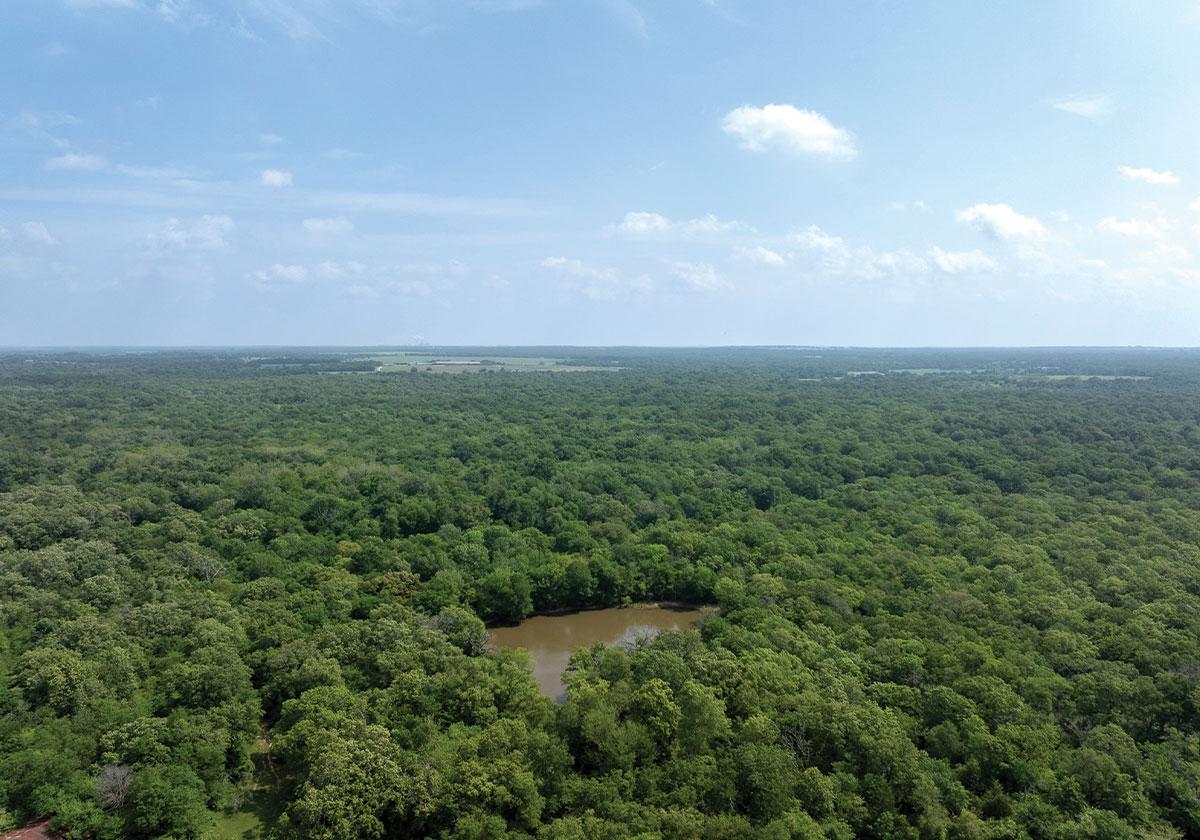 South Walnut Ranch | ~1600 AC Ranch in Robertson County, Texas | Oldham ...