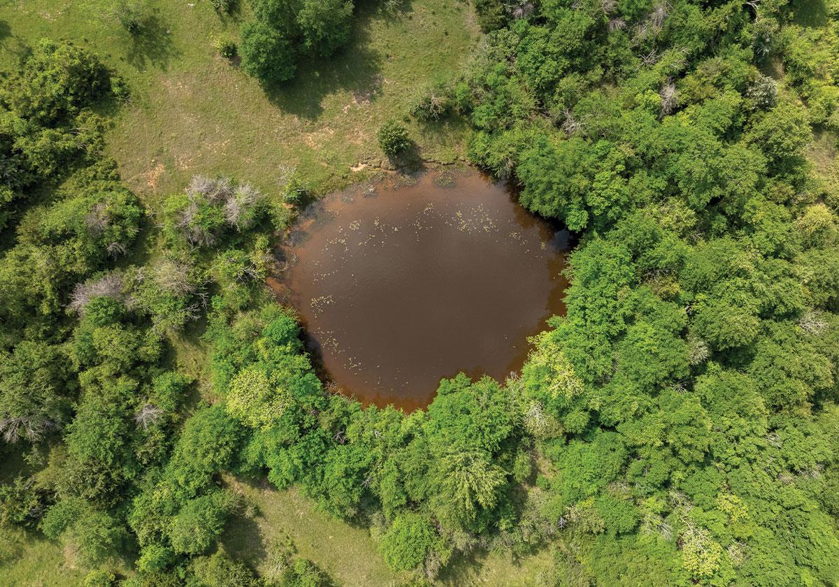 South Walnut Ranch | ~1600 AC Ranch in Robertson County, Texas | Oldham ...