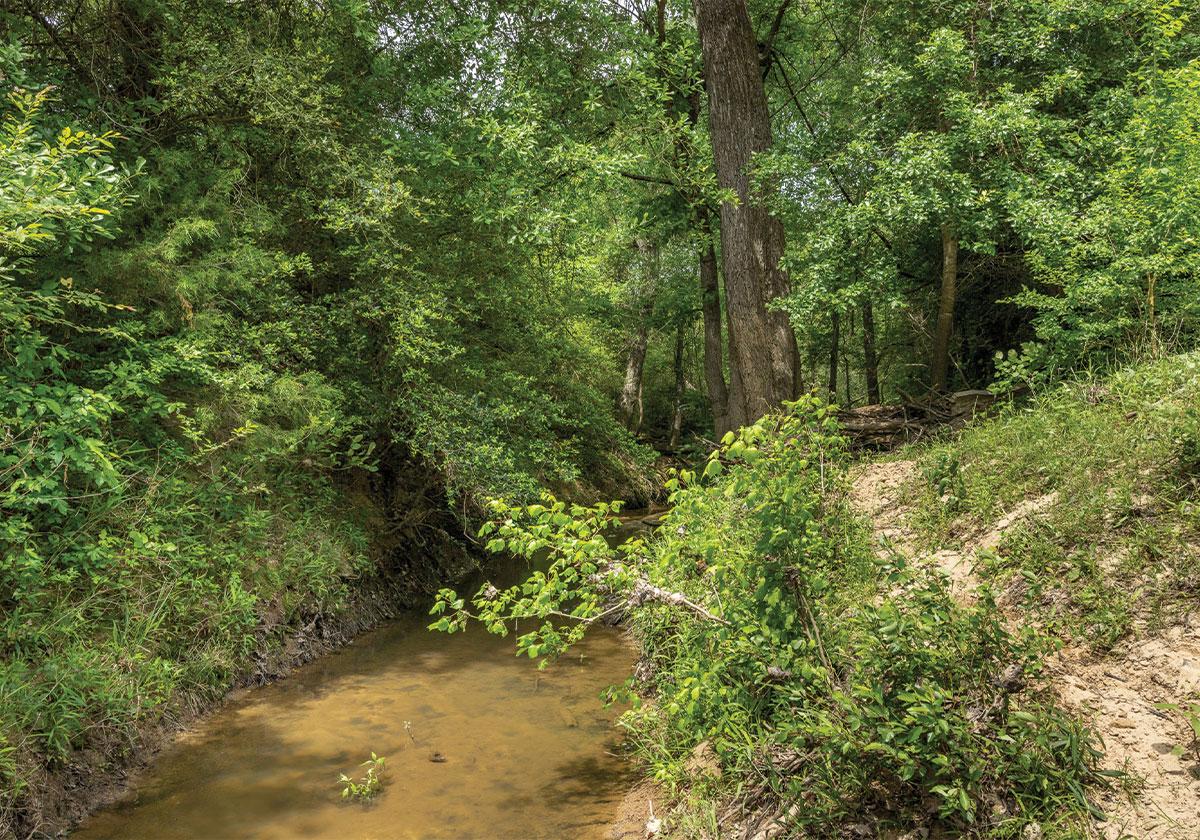 South Walnut Ranch | ~1600 AC Ranch in Robertson County, Texas | Oldham ...