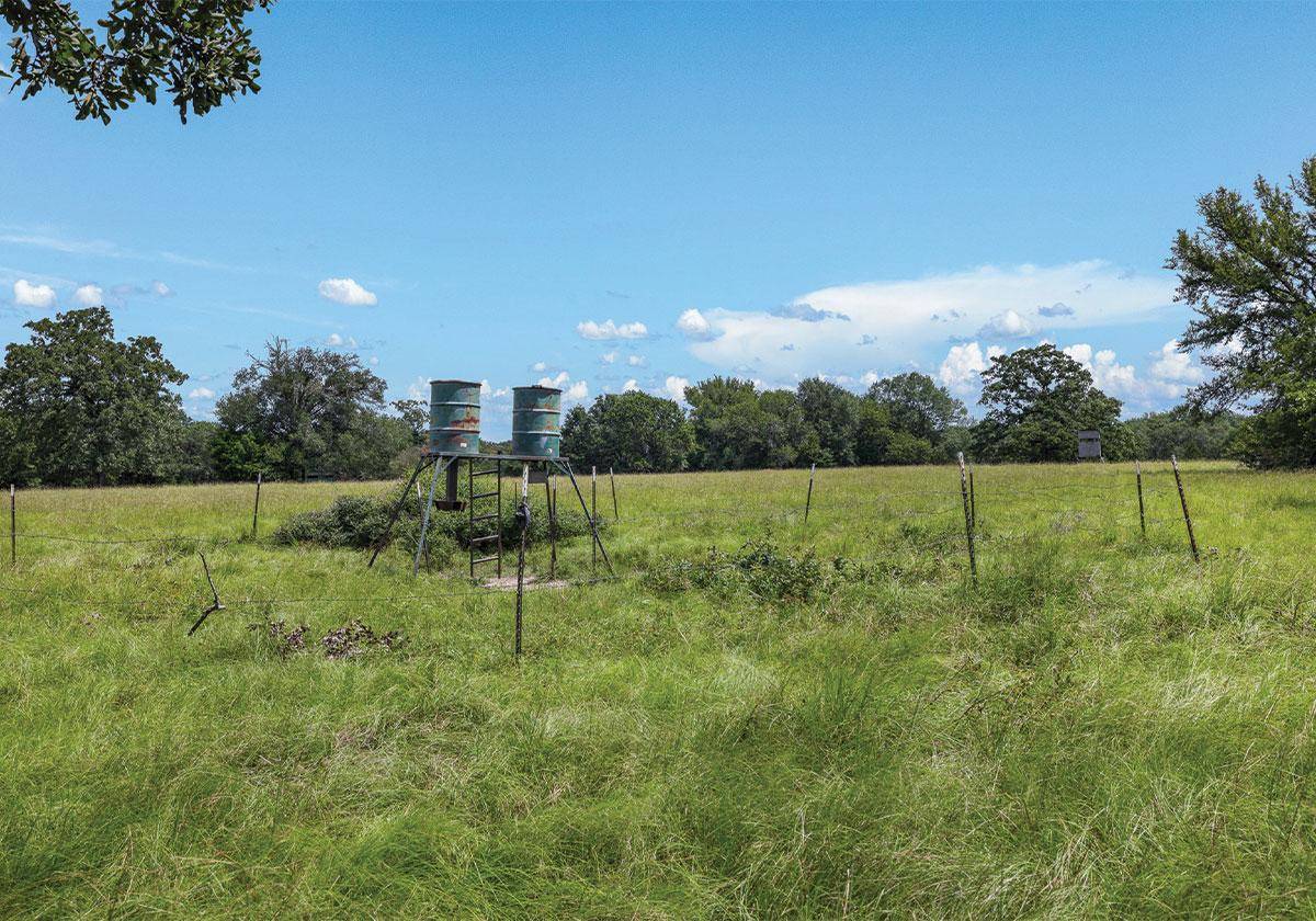 Tabor Ridge Ranch | 450 Acres for Sale in Brazos County, Texas | Oldham ...
