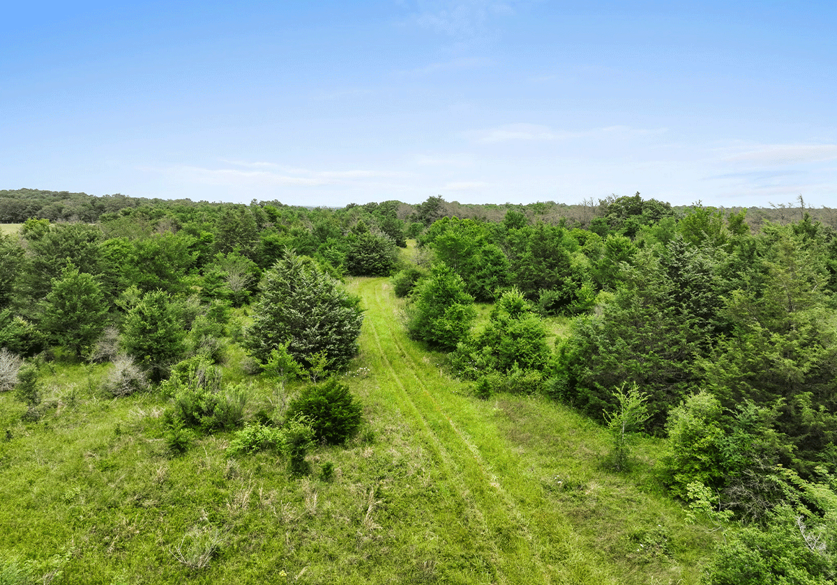 The Batson 35 | 35 Acres in Leon County, Texas | Oldham Goodwin Farm ...