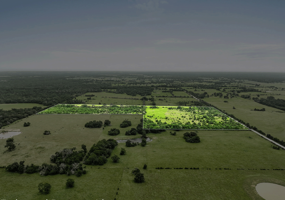 The Batson 35 | 35 Acres in Leon County, Texas | Oldham Goodwin Farm ...
