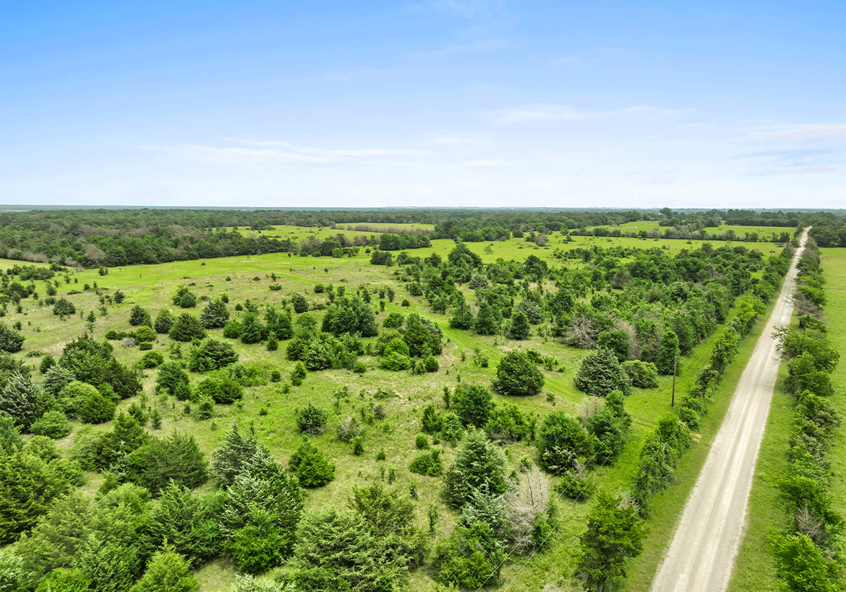 The Batson 35 | 35 Acres in Leon County, Texas | Oldham Goodwin Farm ...