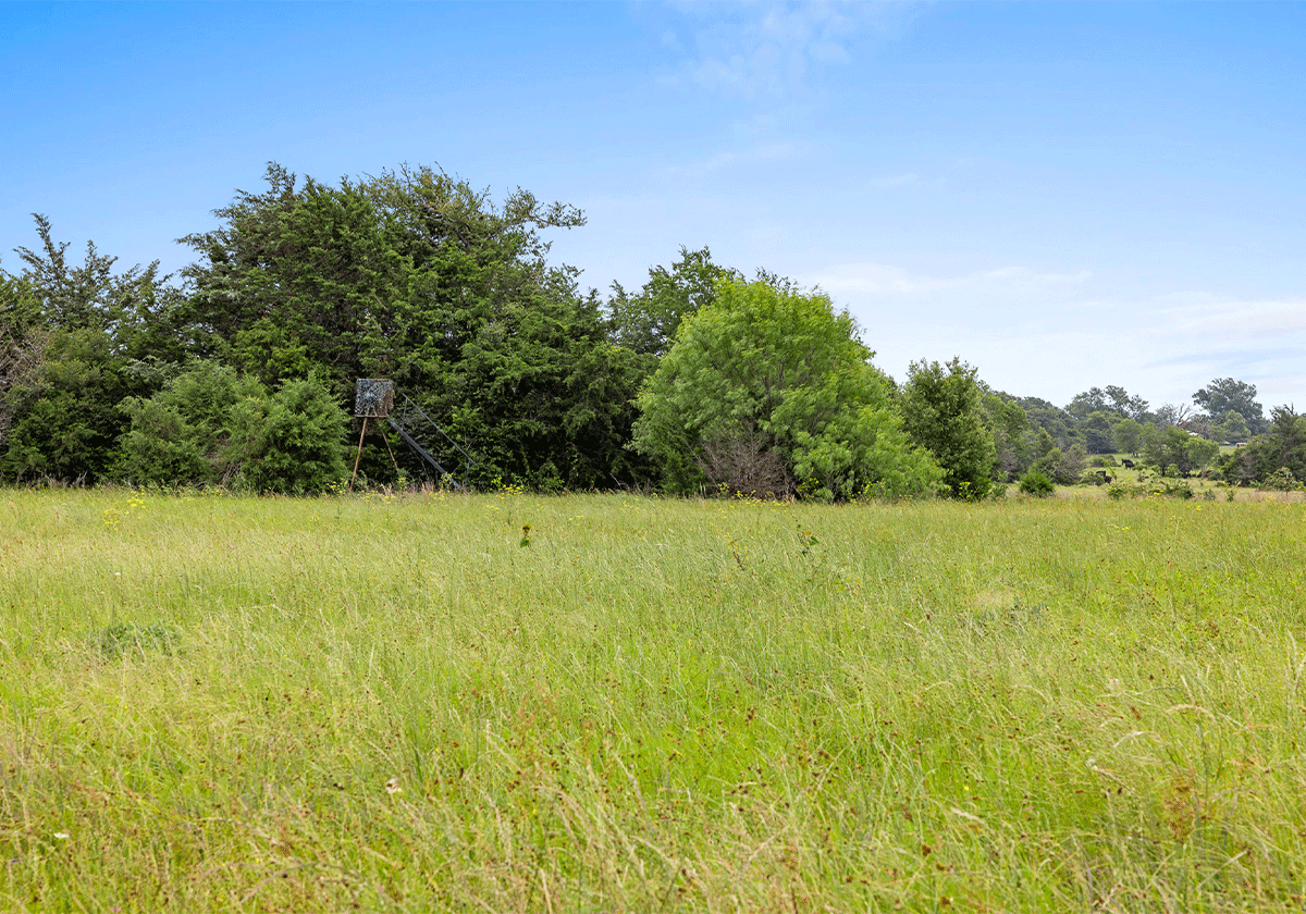 The Batson 35 | 35 Acres in Leon County, Texas | Oldham Goodwin Farm ...