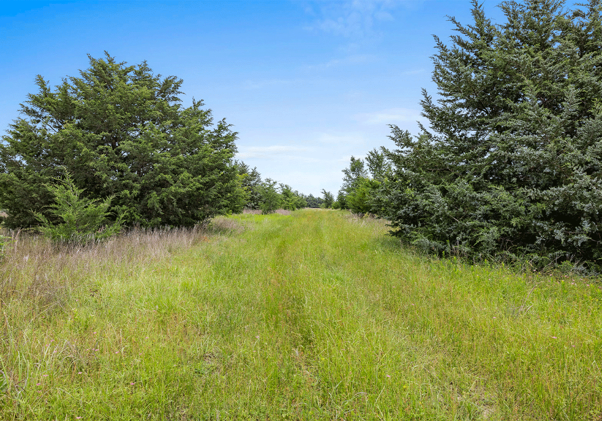 The Batson 35 | 35 Acres in Leon County, Texas | Oldham Goodwin Farm ...