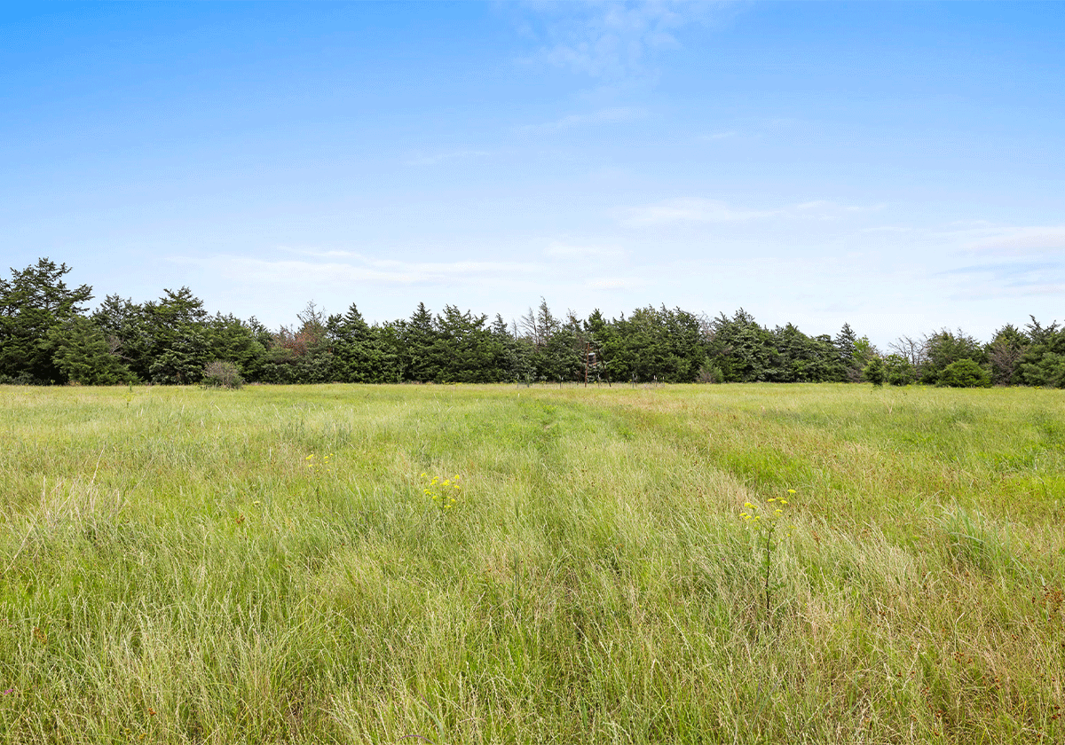 The Batson 35 | 35 Acres in Leon County, Texas | Oldham Goodwin Farm ...