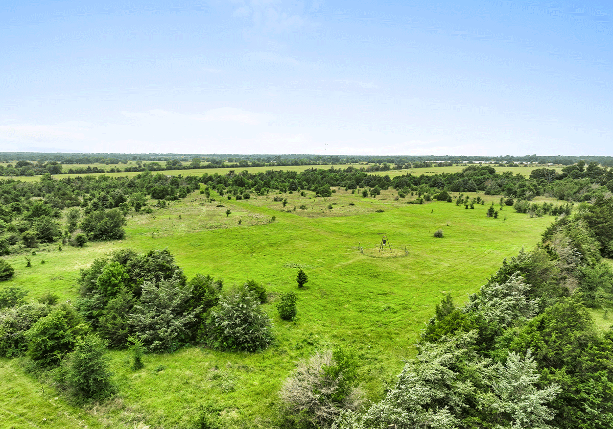 The Batson 35 | 35 Acres in Leon County, Texas | Oldham Goodwin Farm ...